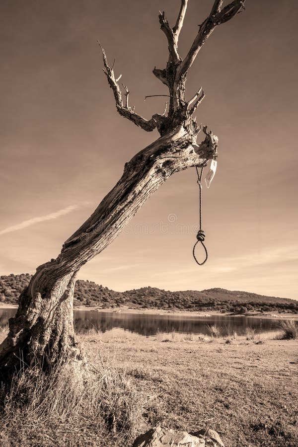 170 Gallows Rope Knot Stock Photos - Free & Royalty-Free Stock Photos ...