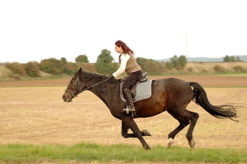 Galope. imagem de stock. Imagem de marrom, pessoa, prado - 11474837