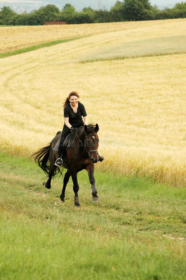 Galope imagen de archivo. Imagen de siluetas, caballo - 11895587