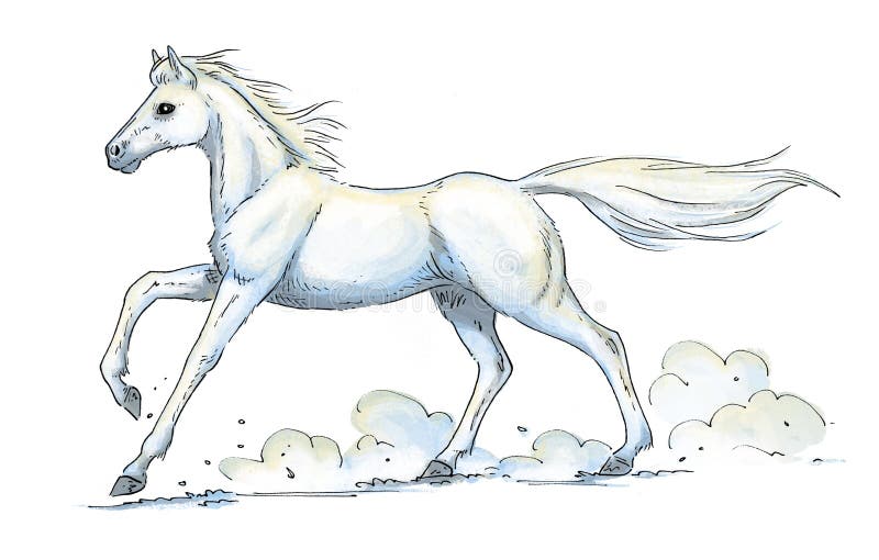 Galope do cavalo branco ilustração stock. Ilustração de branco - 25655583