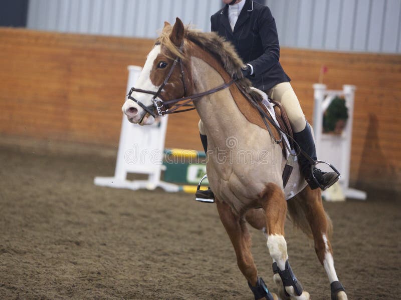 Galope Para O Salto Seguinte Foto de Stock - Imagem de roupa, preto ...