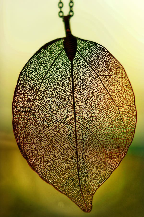 Galvanically Stock Photos - Free & Royalty-Free Stock Photos from ...