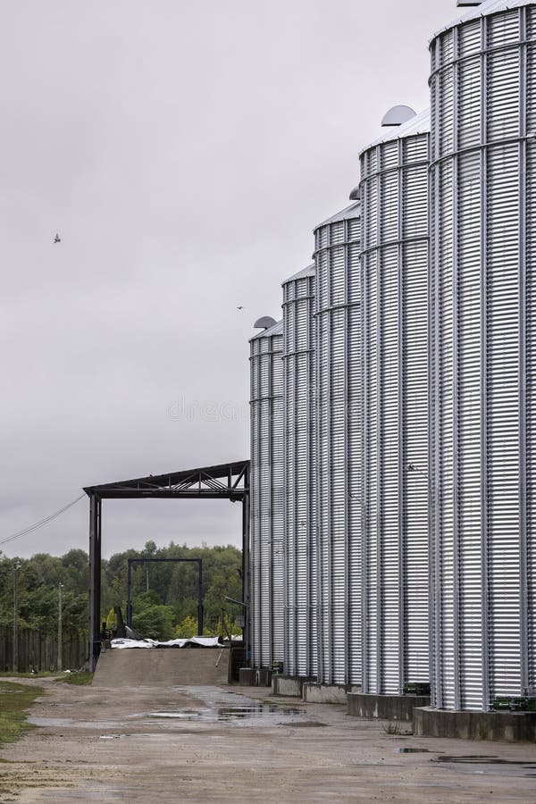 Galvanized Steel Silos for Grain Storage Stock Image - Image of modern ...