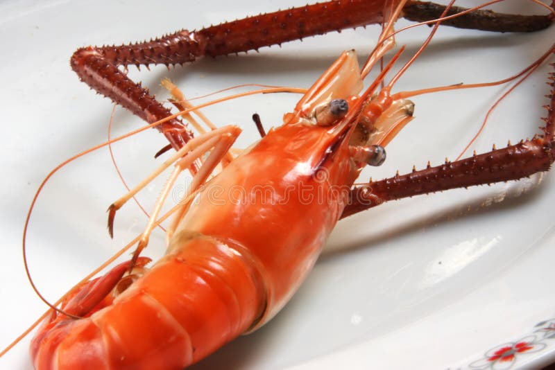 Gamba cocinada imagen de archivo. Imagen de pescados, steamed - 5134287