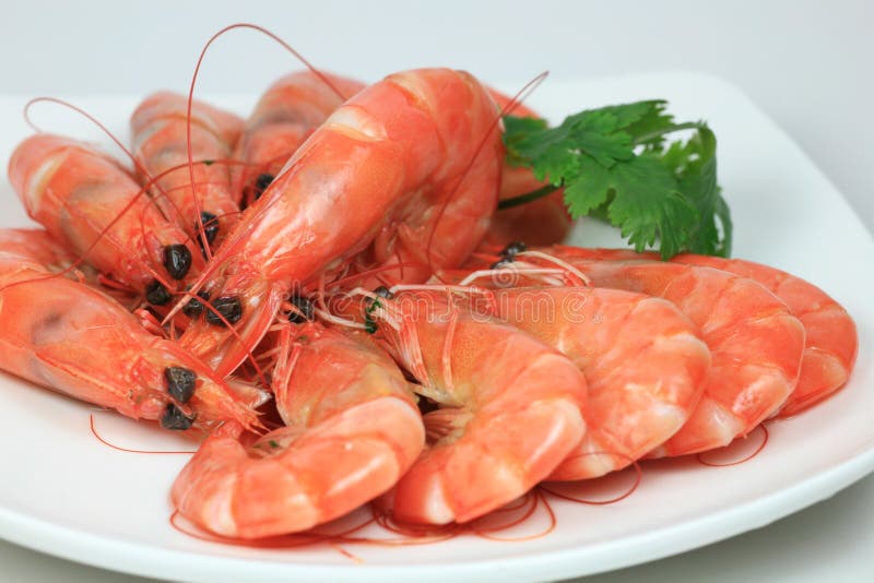 Gamba Con La Placa En Blanco Foto de archivo - Imagen de gamba ...