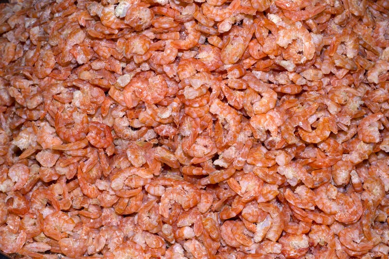 Gamba salada secada foto de archivo. Imagen de gamba - 39536918