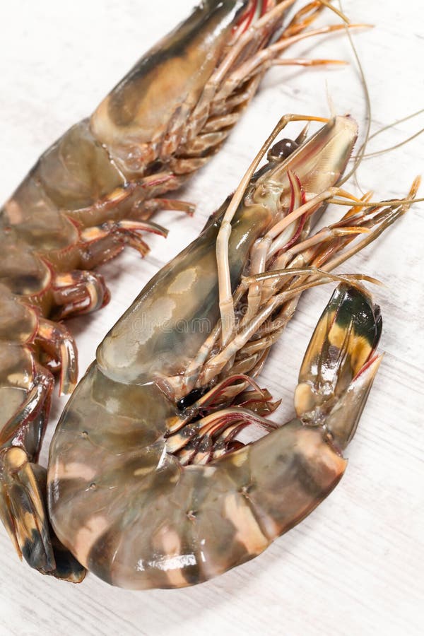 Gambas stock photo. Image of crustacean, food, healthy - 21737398