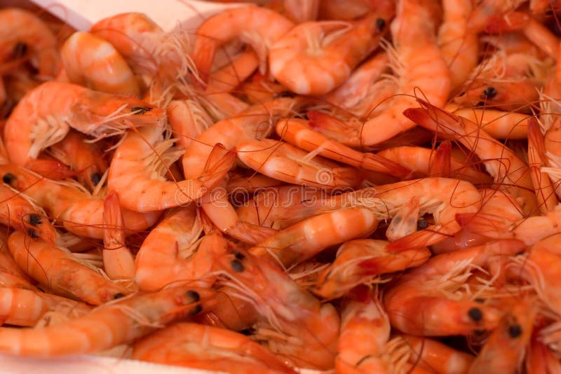 Gambas stock image. Image of food, lifestyle, shrimps - 2341231
