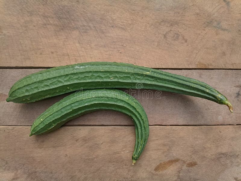 Gambas or Oyong Vegetable Fruit on the Table with the Latin Name Luffa ...