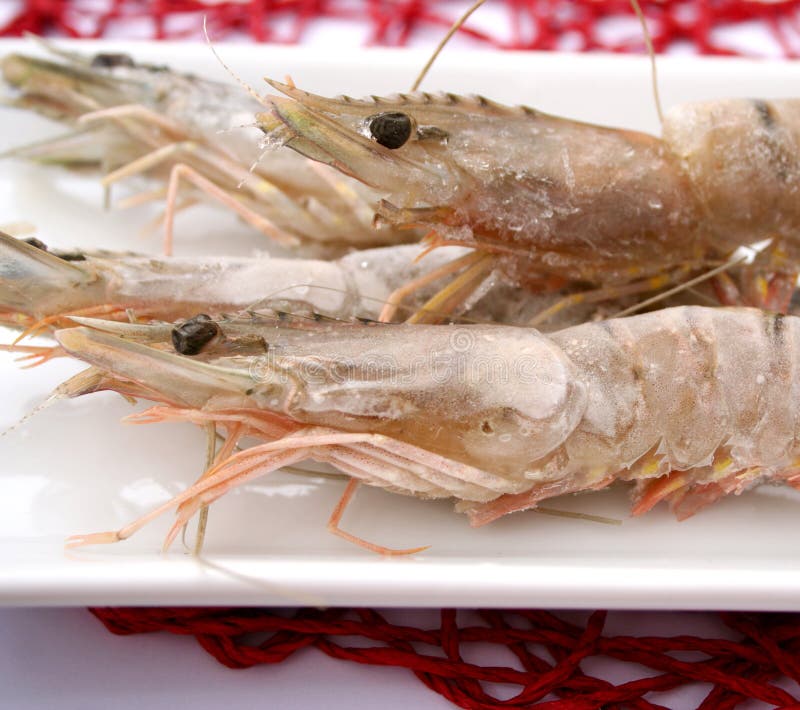 Gambas stock image. Image of gamba, dinner, gourmet, gambas - 37203457