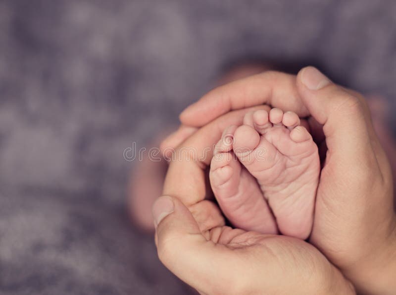 Gambe Del Neonato in Mani Dei Genitori Fotografia Stock - Immagine di ...