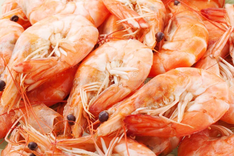 Gambero fotografia stock. Immagine di consumo, costoso - 26927798