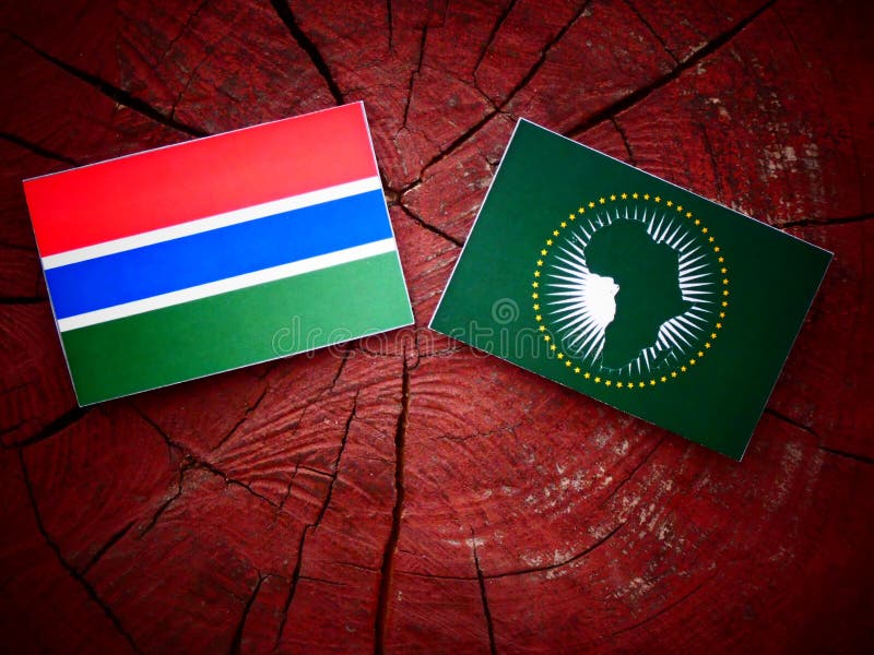 Gambian Flag with African Union Flag on a Tree Stump Stock Photo ...