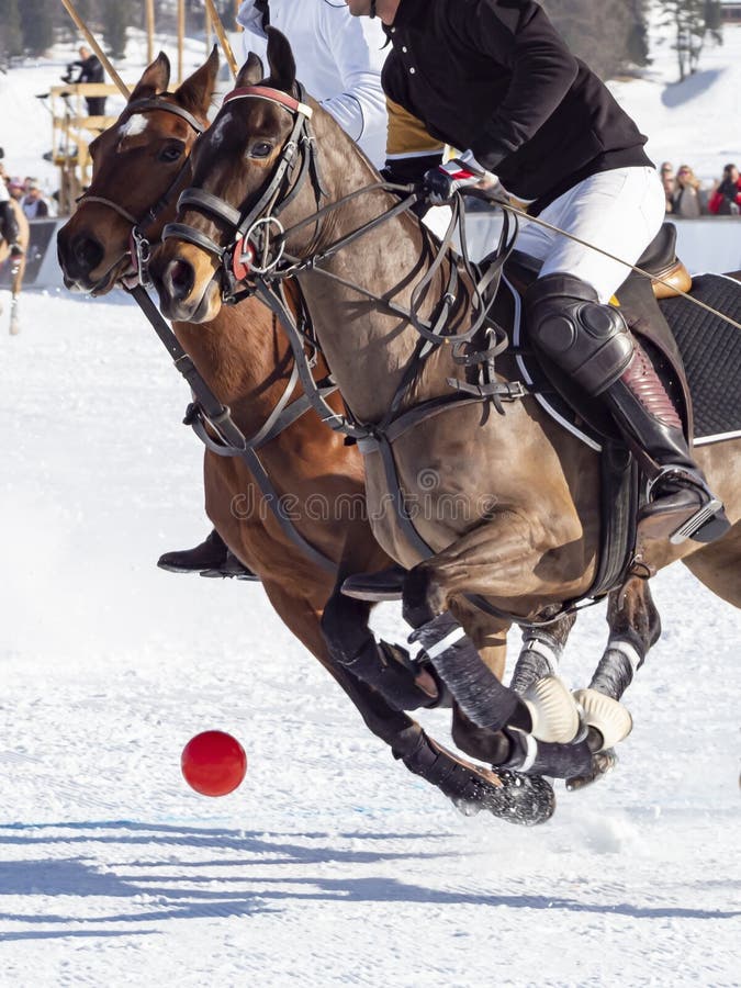 In Game Action of Snow Polo Stock Image - Image of competition, ball ...
