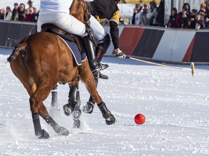 In Game Action of Snow Polo Stock Image - Image of discipline, hitting ...