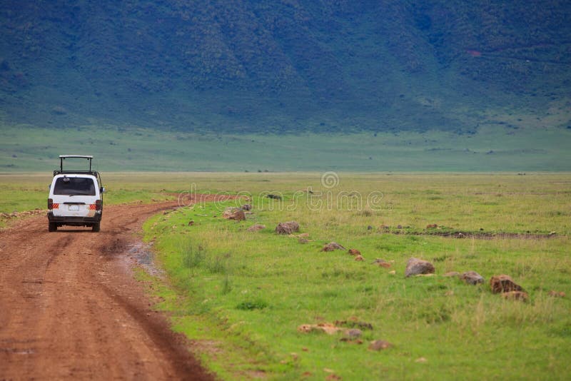 Game drive stock image. Image of africa, transport, reserve - 12998843