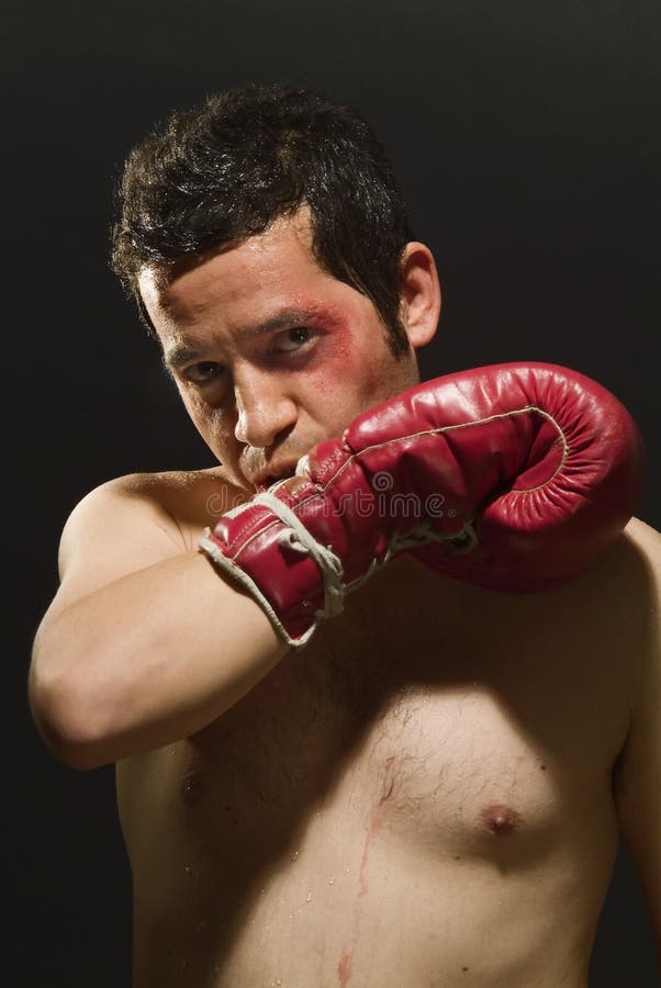 Bloody Boxer Stock Photos - Free & Royalty-Free Stock Photos from ...
