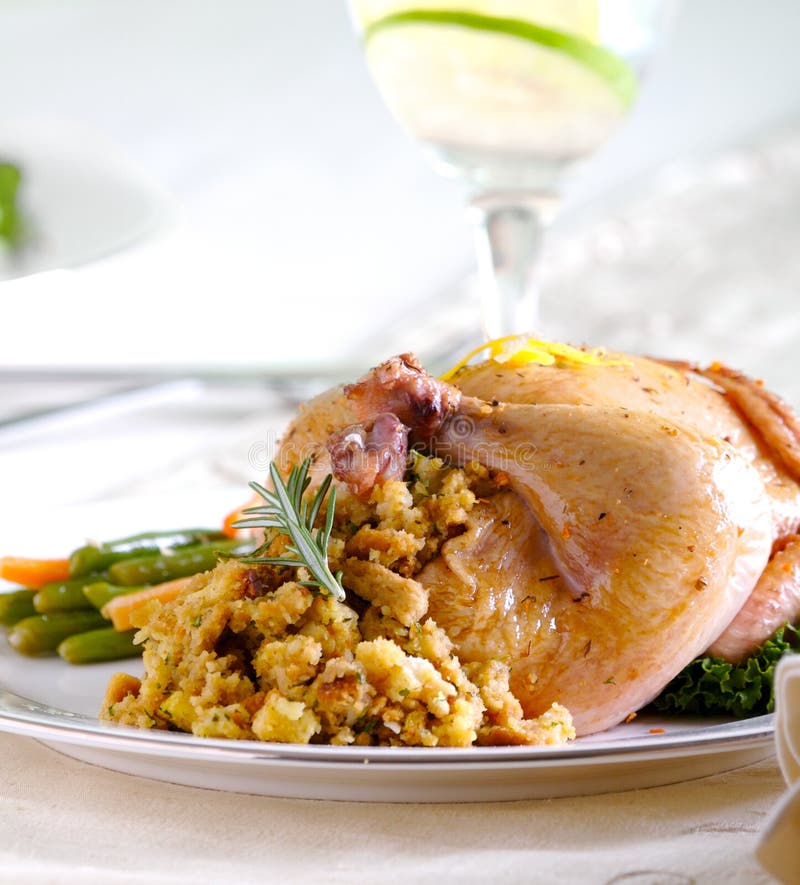 Game Hen stock photo. Image of game, stuffing, beans, seasoned - 2131784