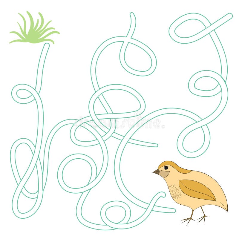 Game Labyrinth Find a Way Quail Vector Stock Vector - Illustration of ...