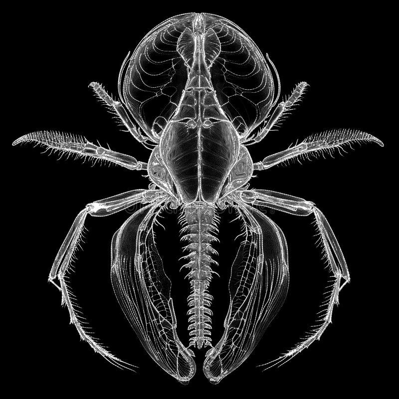 Game of life form stock illustration. Illustration of interpretation ...