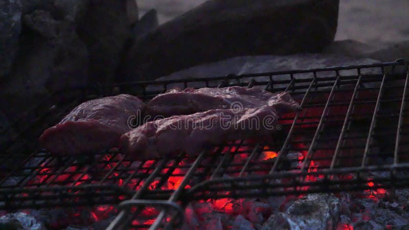 Game Meat Being Roasted on a Barbecue on Open Fire Stock Video - Video ...