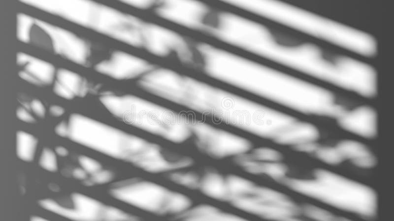 Game of Shadow Animation Overlay Effect with Blinds, Looped Switch ...