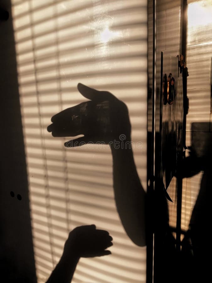 A Game of Shadows. Shadow Performance. Sunny Day. Small Hand and Big ...