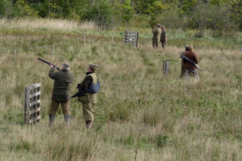 Game Shoot stock image. Image of tree, ecoregion, ecosystem - 1265863