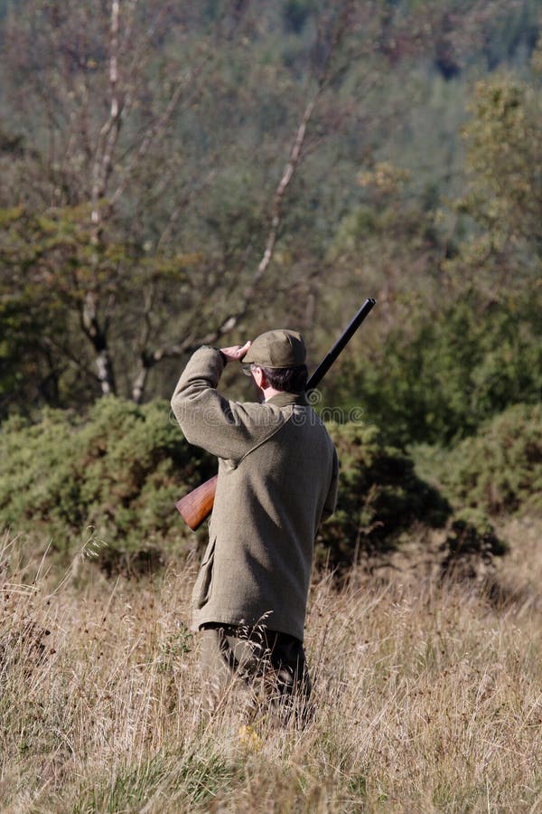 Game Shoot stock image. Image of tree, ecoregion, ecosystem - 1265863