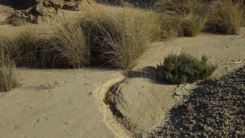 Rain Left Traces in the Desert of Tabernas Stock Image - Image of ...