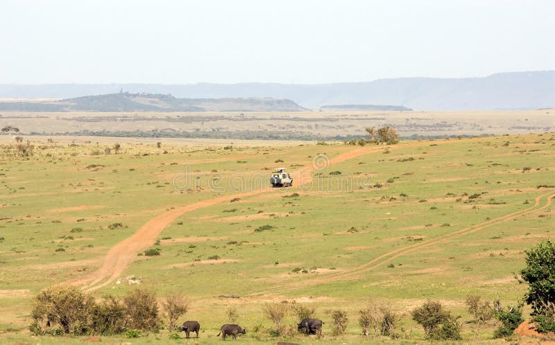 Game Viewing Vehicle in the Savanna Stock Photo - Image of safari ...