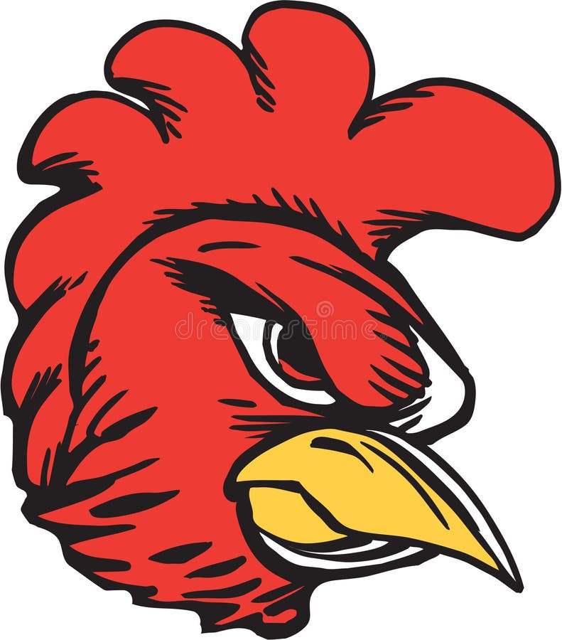 Gamecock Head Vector Illustration Stock Vector - Illustration of sport ...