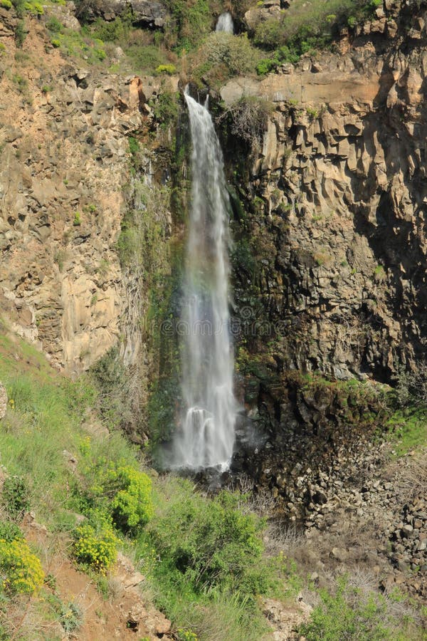 Gamala Stock Photos - Free & Royalty-Free Stock Photos from Dreamstime