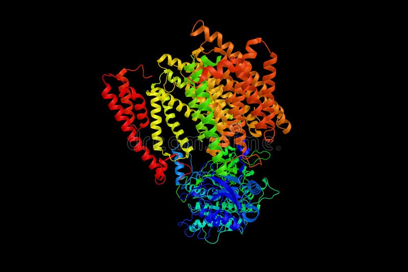 Gamma Secretase Protein Complex. Multi-subunit Intramembrane Protease ...