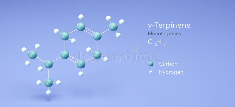 Gamma-terpinene Molecular Structure, 3d Model Molecule, Isomeric ...
