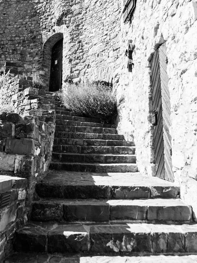 Gammal trappa för slott fotografering för bildbyråer. Bild av kull ...