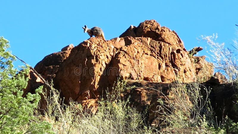 Gammon Ranges, South Australia Stock Photo - Image of national, blue ...