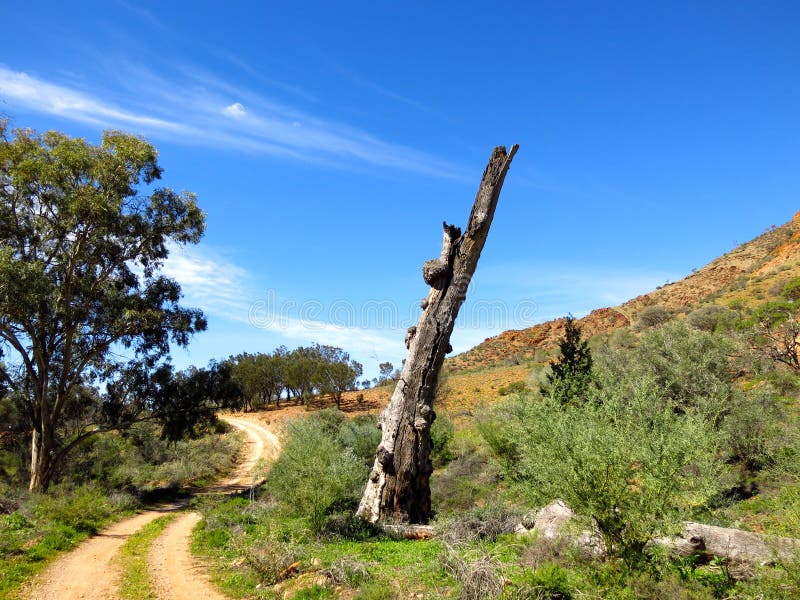 Gammon Ranges, South Australia Stock Image - Image of color, range ...