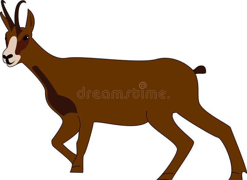 Gamuza Ilustraciones Stock, Vectores, Y Clipart – (672 Ilustraciones Stock)