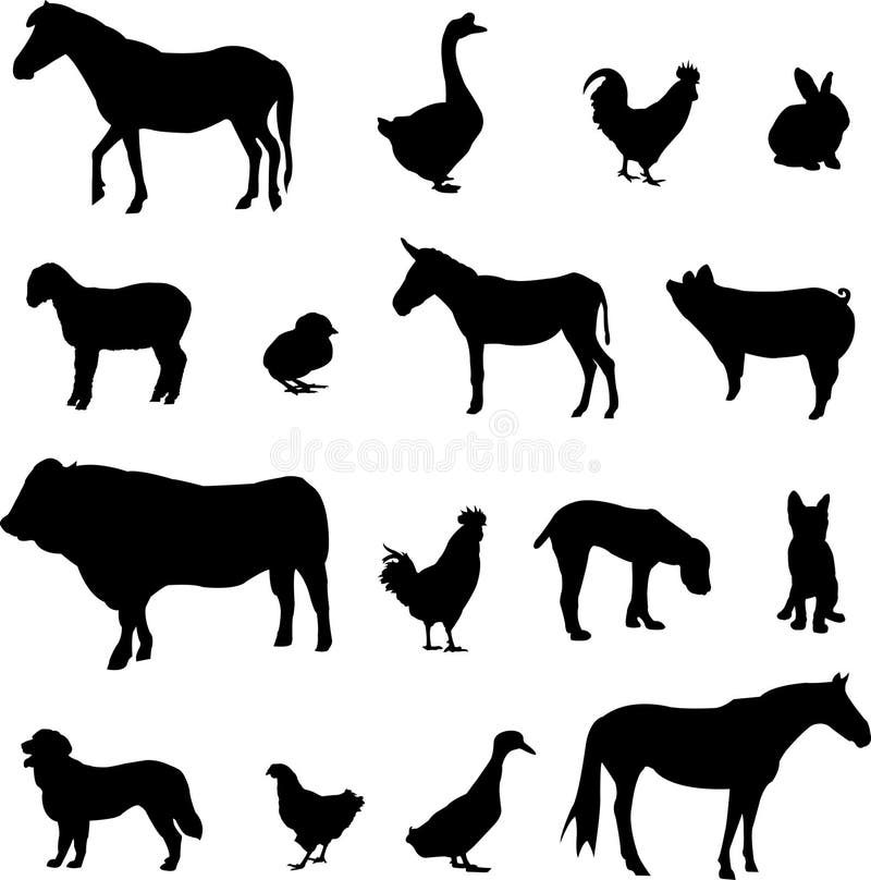 Ganado y aves de corral ilustración del vector. Ilustración de ...