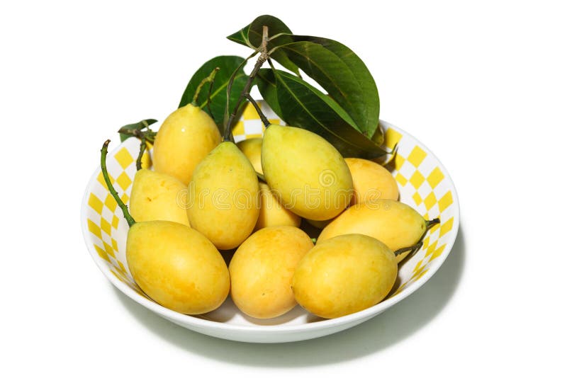 It is Gandaria & X28;Bouea Macrophylla Griffith& X29; or Jatake is a ...