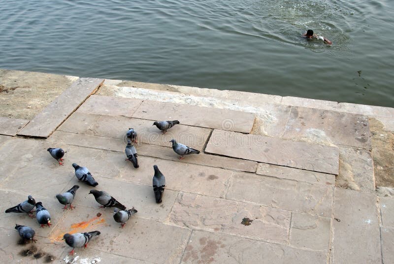 Ganges Water editorial stock photo. Image of city, ghat - 26713883