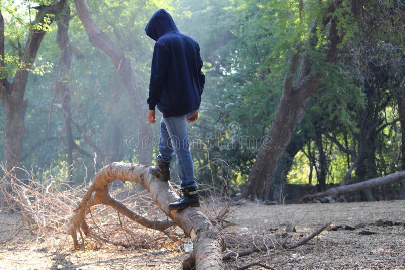 Gangster Man Walking on Tree Stock Photo - Image of wildlife ...