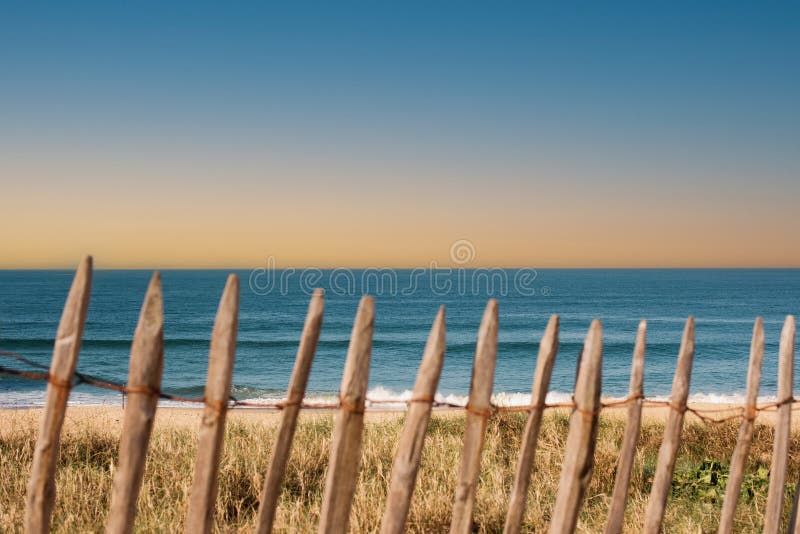 Marram Grass Blue Sky and Sunset Over Atlantic Ocean Beaches Stock ...