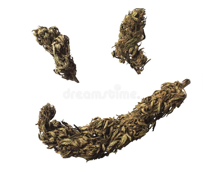 Ganja smile stock photo. Image of adult, cannabis, addict - 48455118