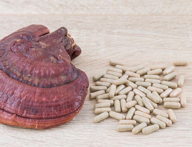 Ganoderma Lucidum Capsule - Ling Zhi Mushroom Stock Photo - Image of ...