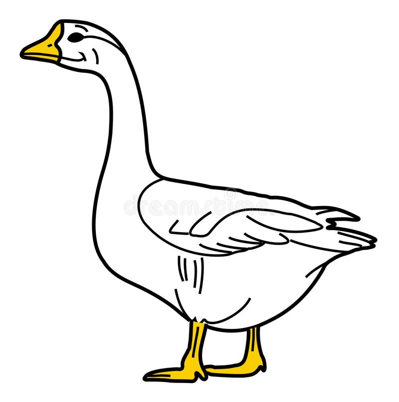 Gans stock illustratie. Illustratie bestaande uit vogel - 40674372