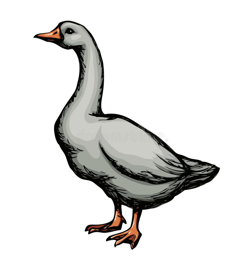 Ganso Gráfico del vector ilustración del vector. Ilustración de ganso ...