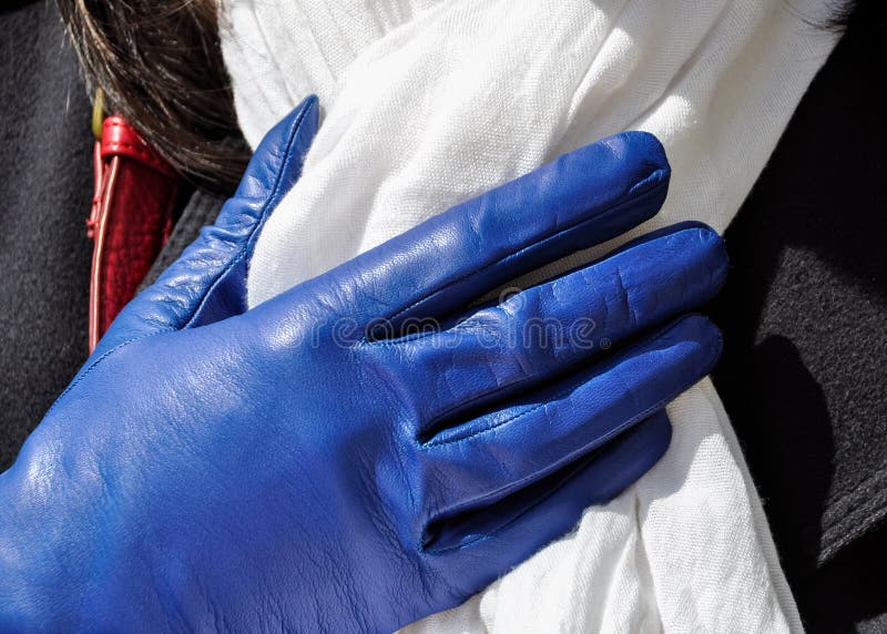 Gant en cuir bleu image stock. Image du élégant, femelle - 50933219
