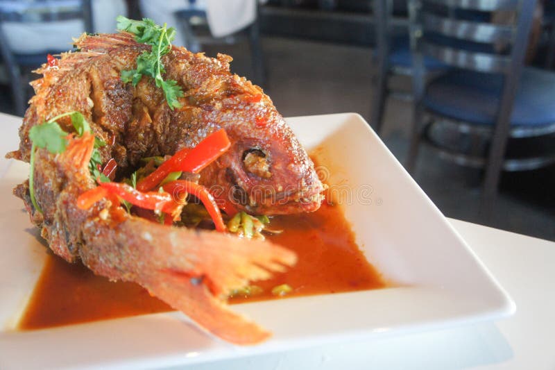 Ganzer Schnapper stockbild. Bild von geschirr, mittagessen - 43693525